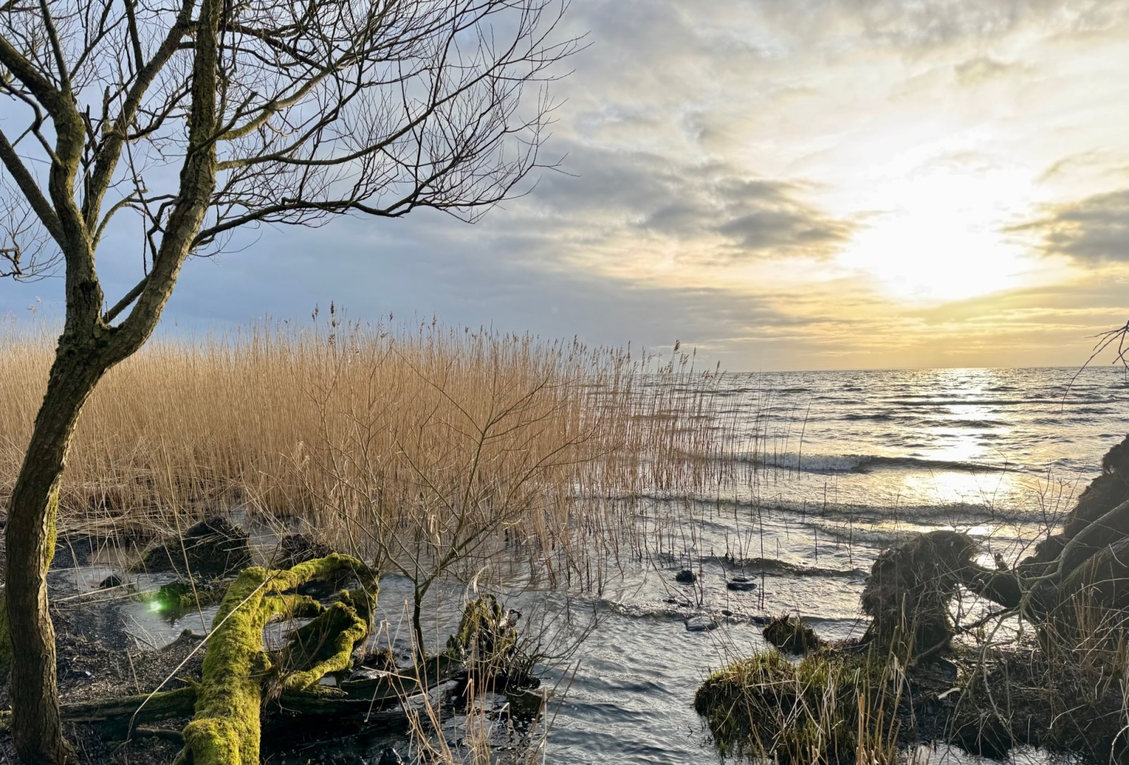 Kells Presbyterian Church